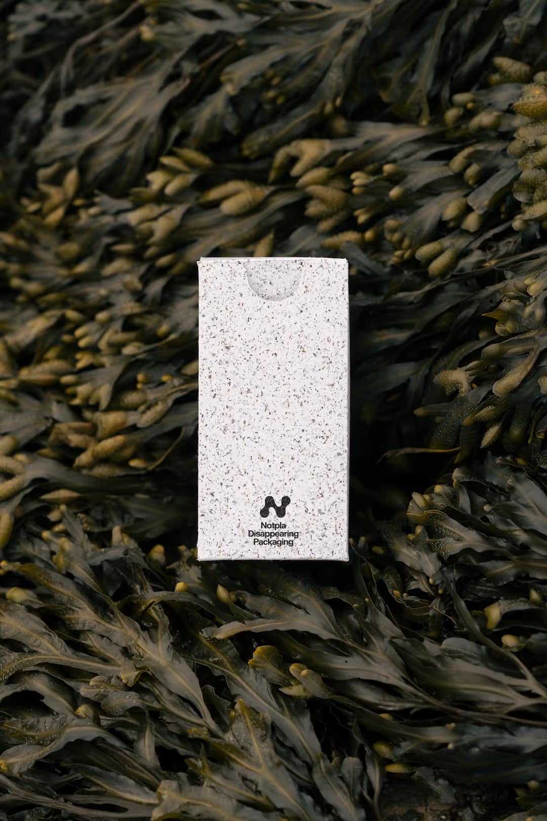 Les 5 types de packagings innovants incontournables